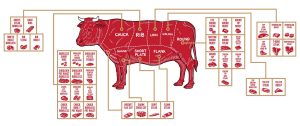 Beef Shares – Better Beef Company